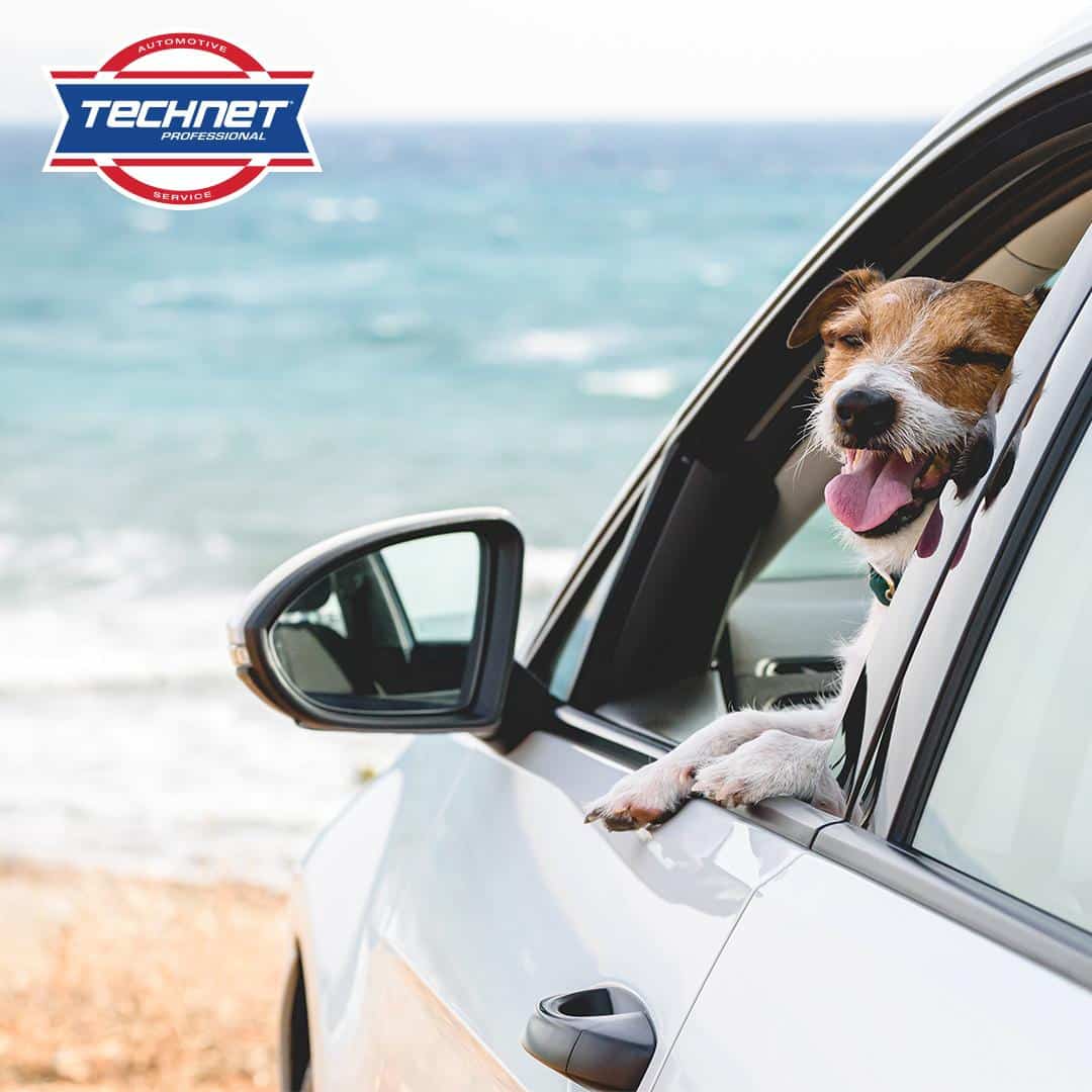Specials - Your Honest Mechanic